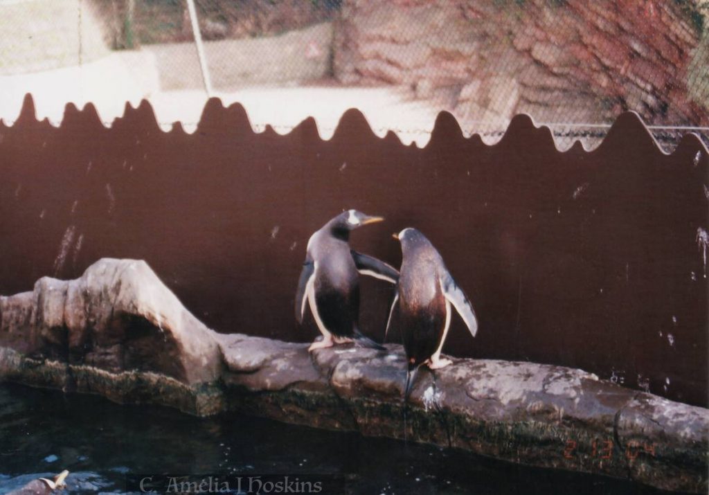 Living Coasts Restaurant – Heritage Murals